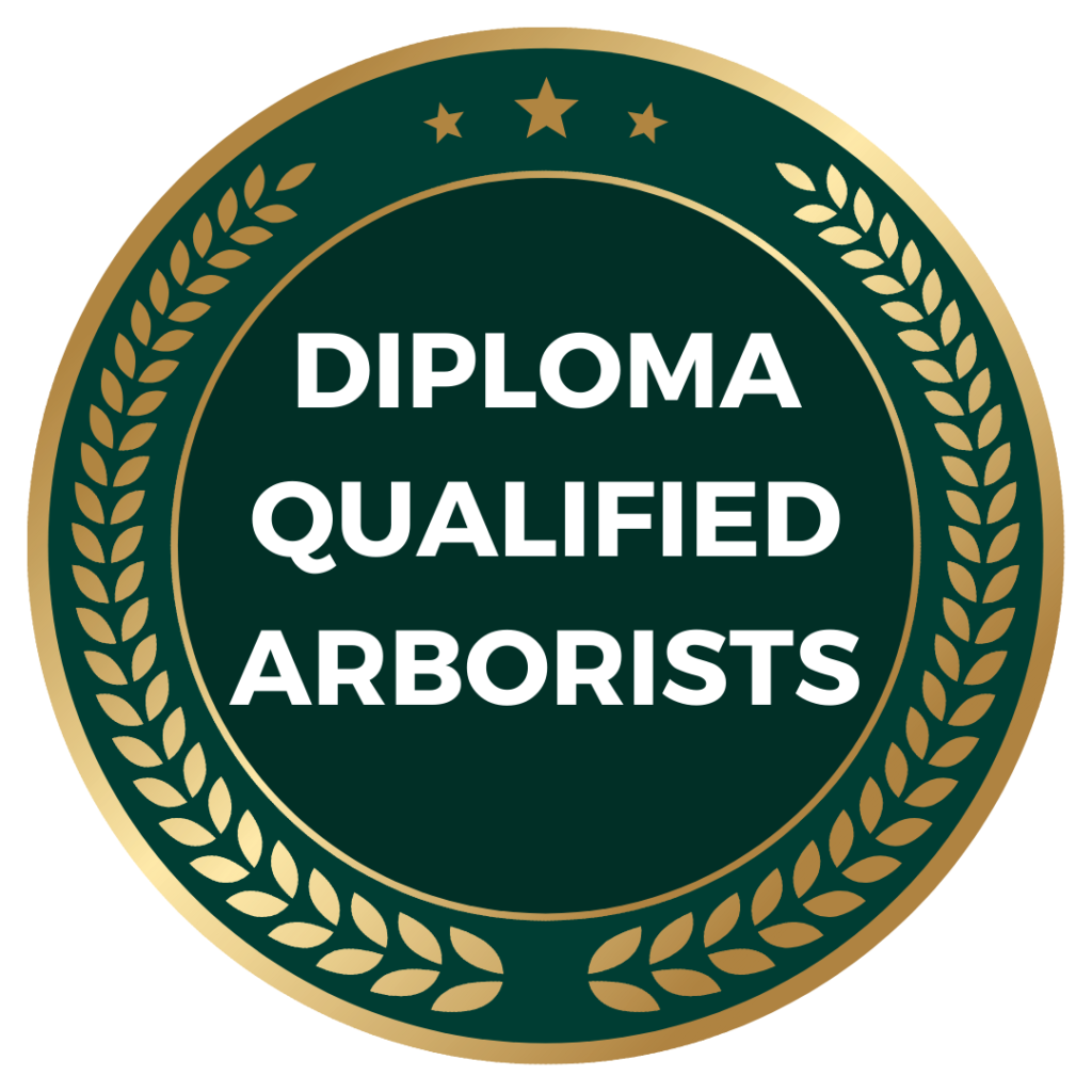 ArborWork Tree Services | Darwin Tree Specialists